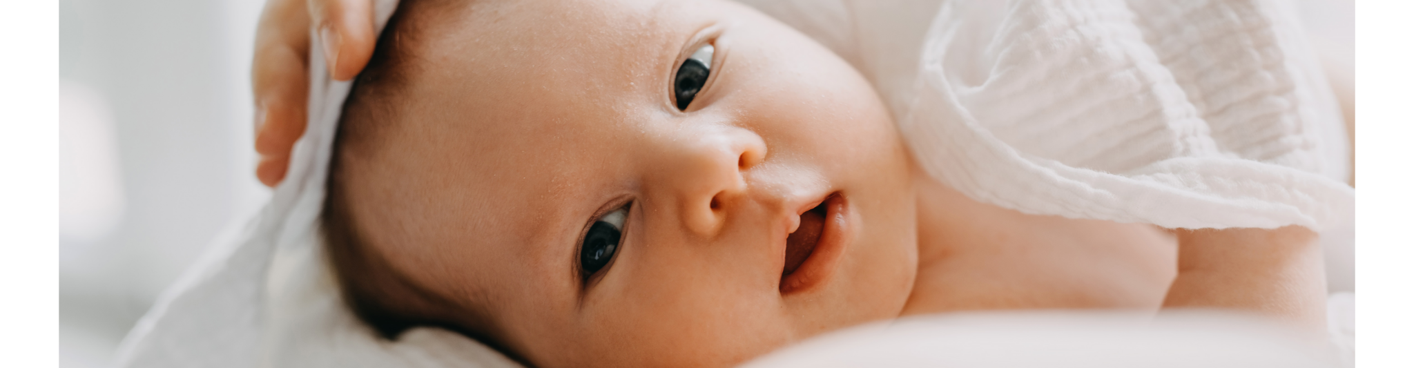 Early Life Care - Early Life Care